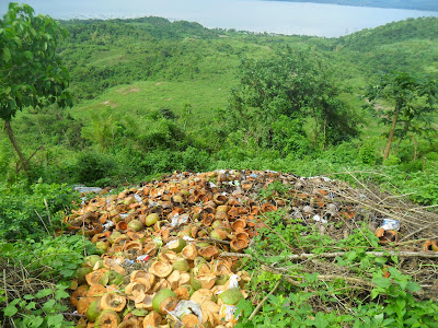 Freelance Flaneur: Lil' bastard