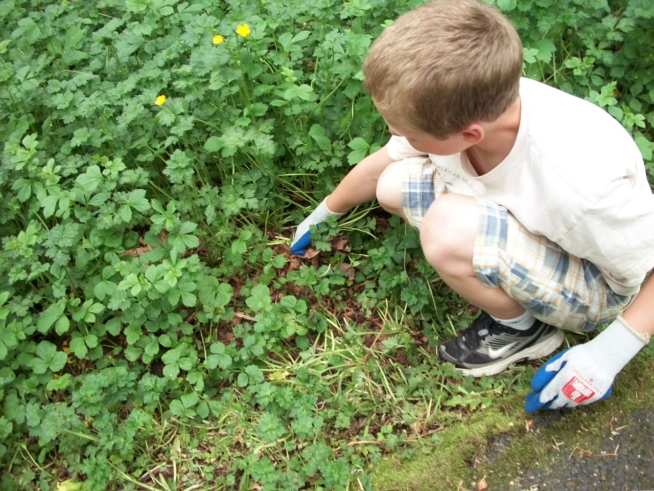 Exploring Tryon Creek: Junior Ranger training at Tryon Creek