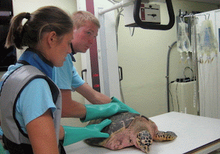 The Travel Authority: ISLE SMILE: THE KEYS TO MY HEART