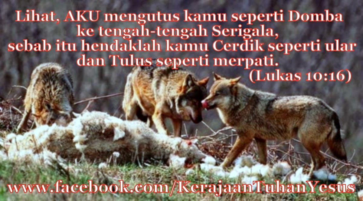 KERAJAAN TUHAN : YESUS MENGUTUS MURID-MURID-NYA SEPERTI DOMBA KE TENGAH ...