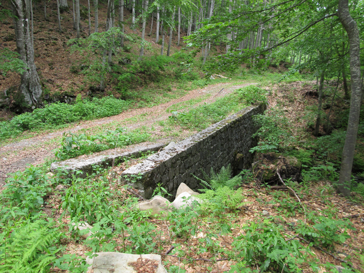 Escursionismo a 360°: Alpe Tre Potenze e Gomito (per il Lago del Greppo) EE