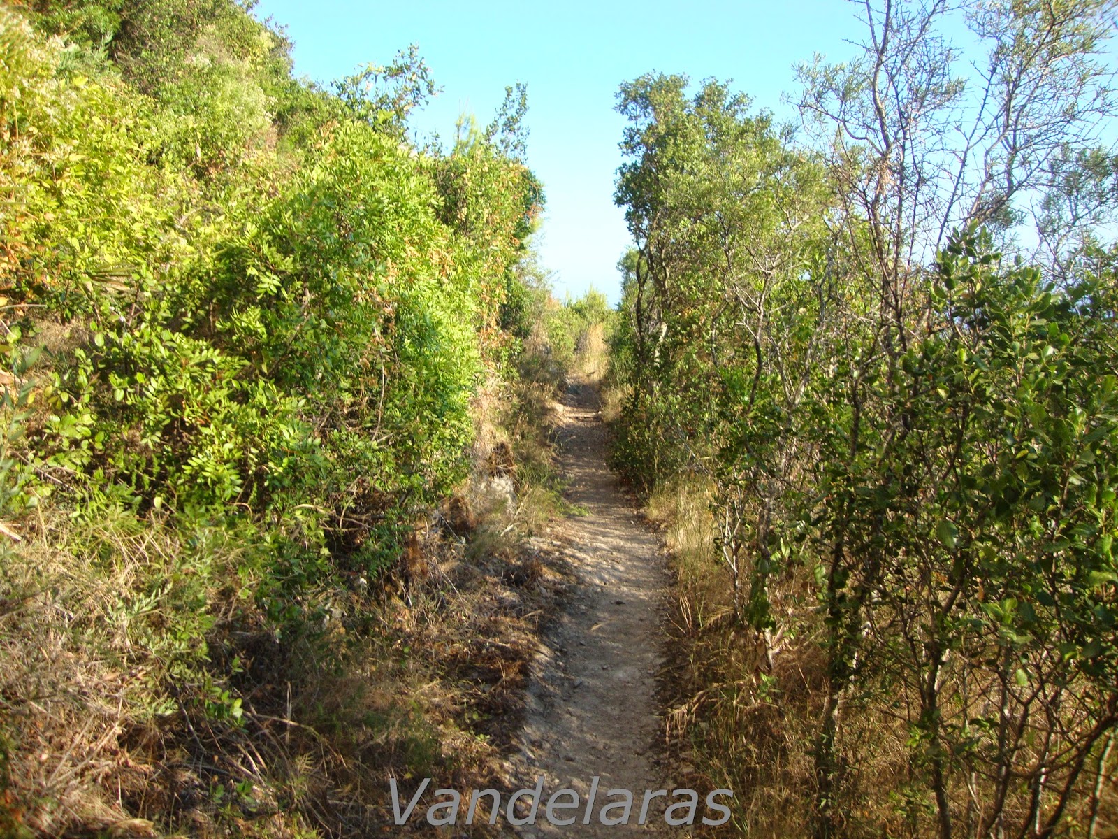 Vandelaras Natural: RUTA CIRCULAR SUBIDA AL MONTGÓ (DÈNIA)