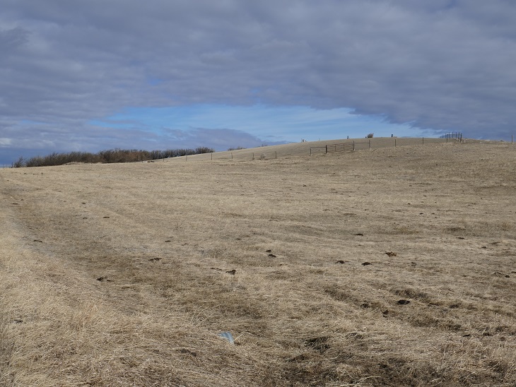 The view from here: Johnson Memorial Cemetery of Whitlash