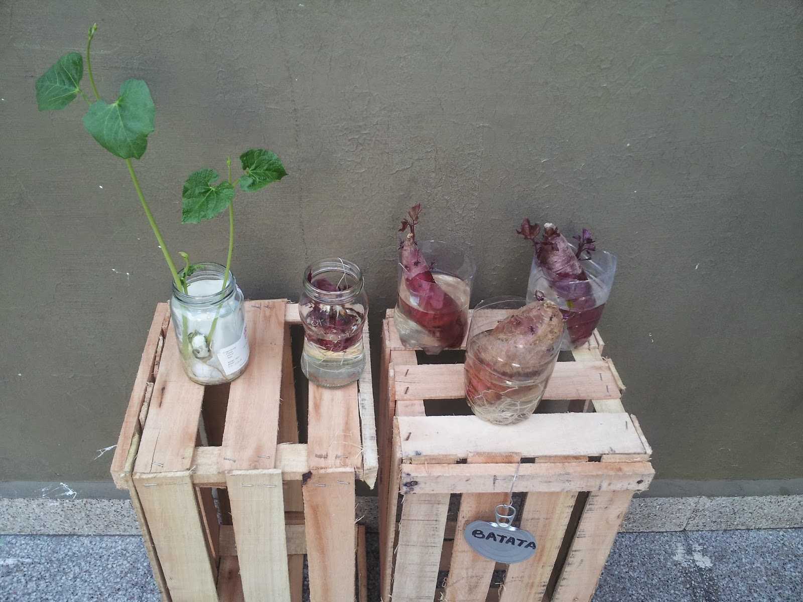 ESCUELA Nº 4 - D.E. Nº 13 "República del Brasil"