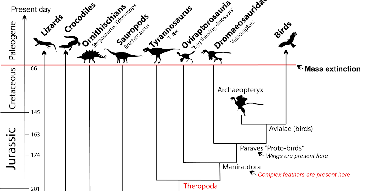 Dinosaur Phylogenetic Tree