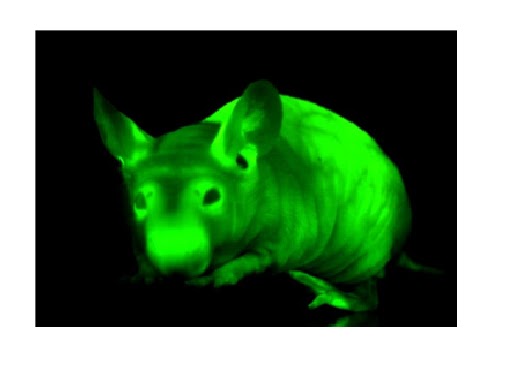 Animal Nica Med: Animales Transgénicos - Genética e Inmunología Veterinaria