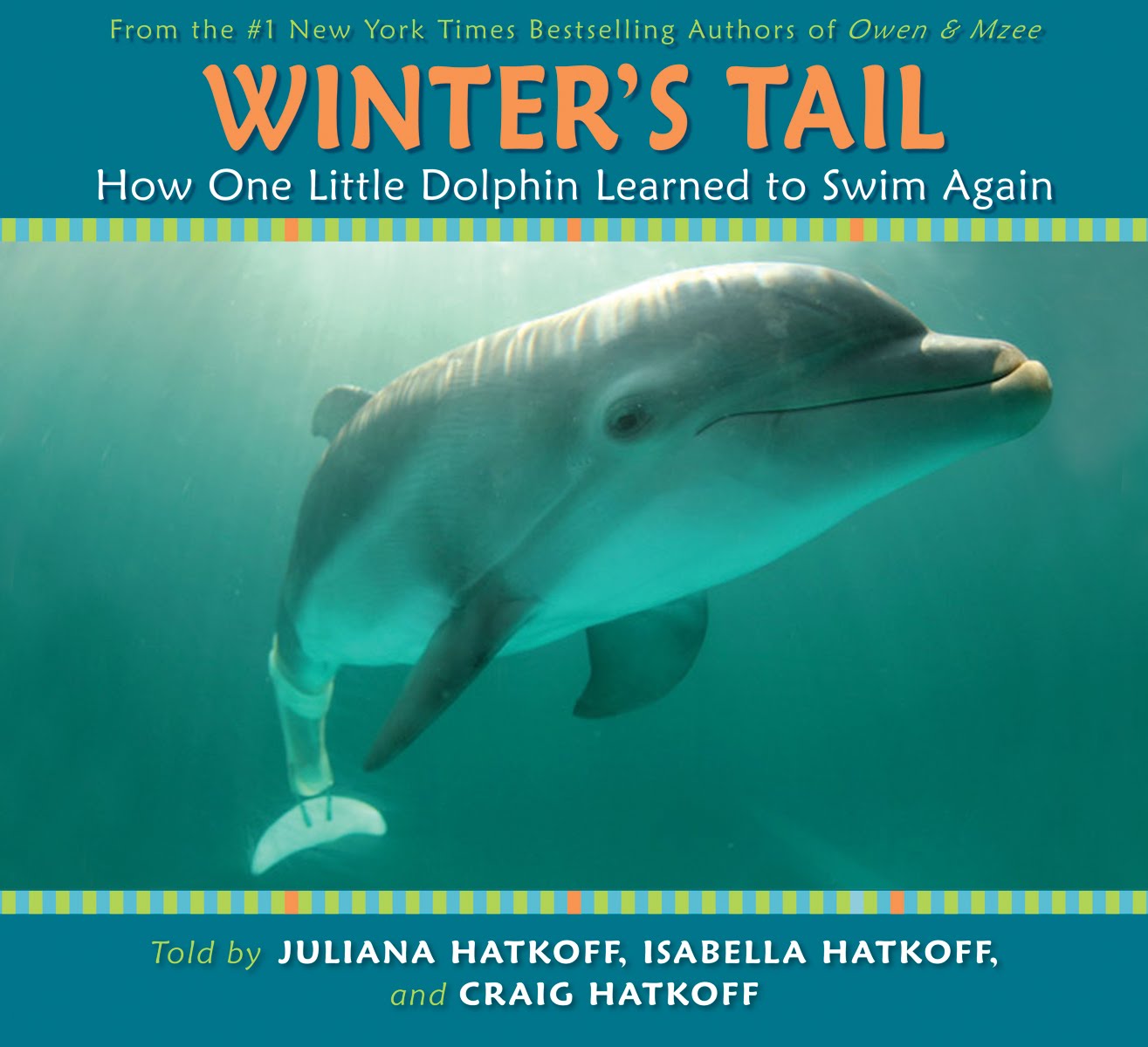 Everead: Winter's Tail: How one little dolphin learned to swim again