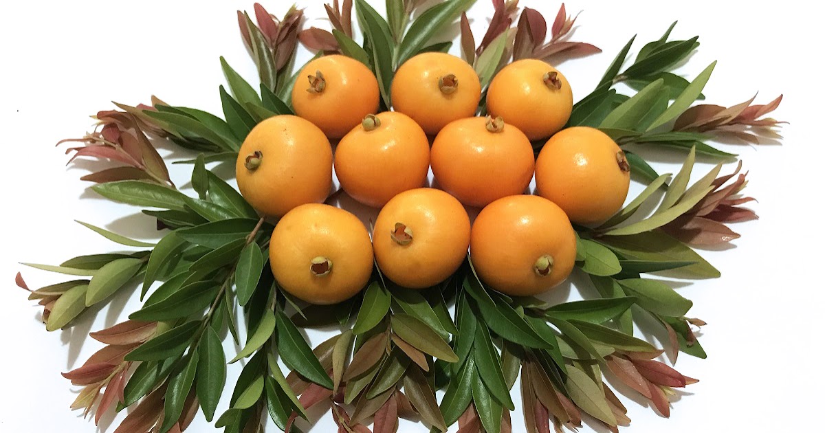 Viveiro Ciprest - Plantas Nativas e Exóticas: Uvaia Lisa ( Eugenia ...