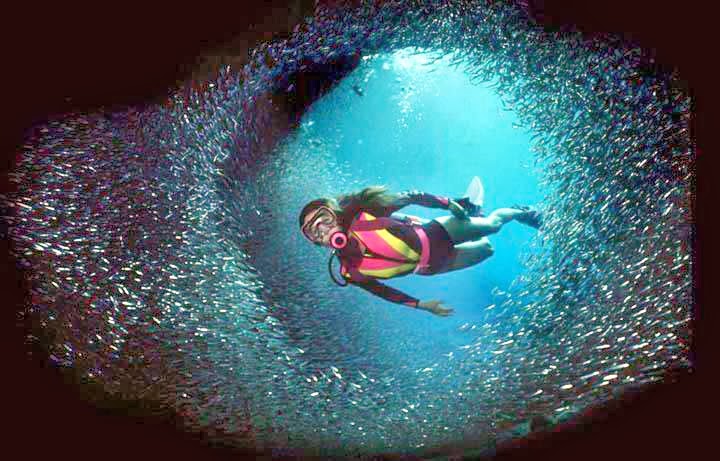 Dive Centers in Turkey | Diving in Turkey