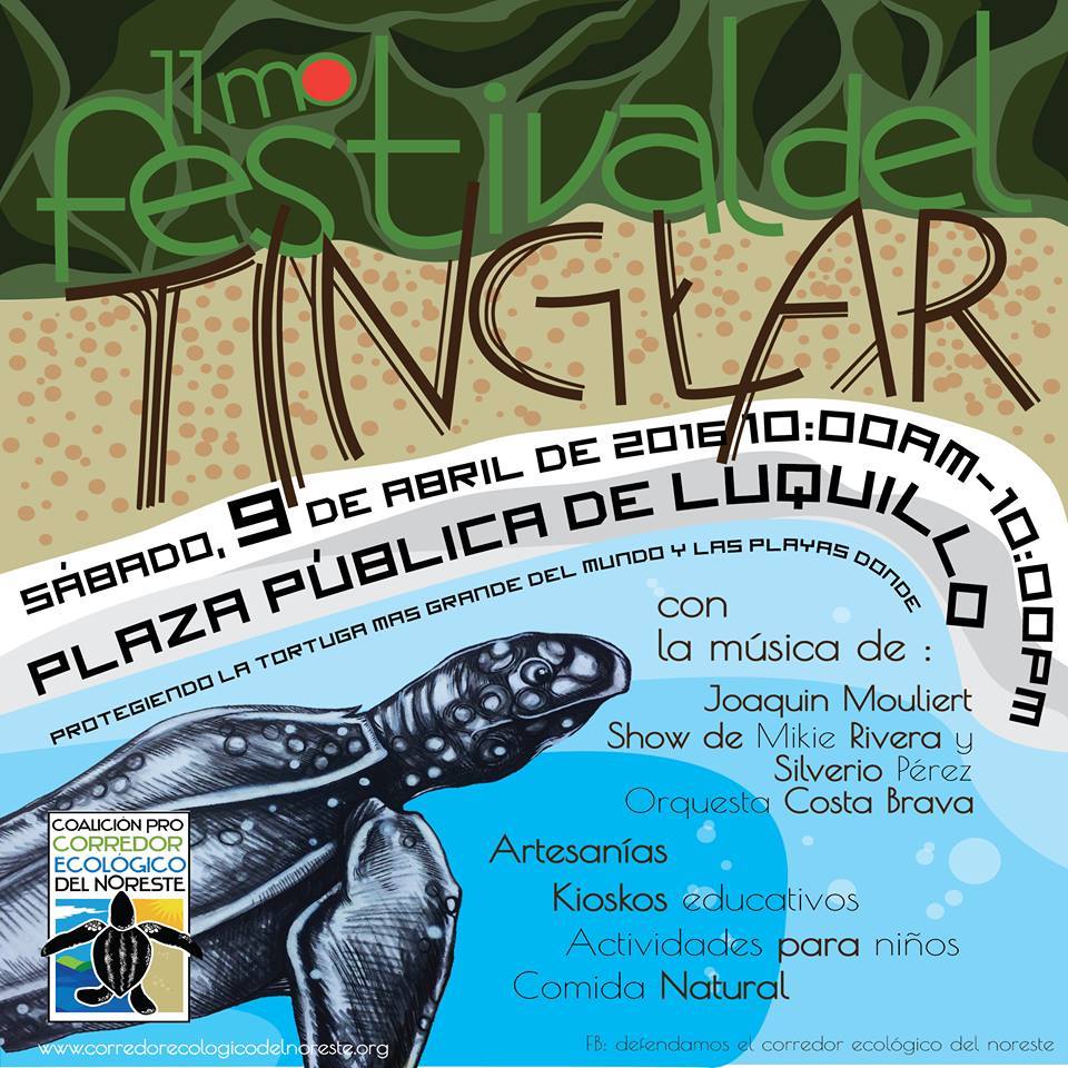 Carmelo Ruiz. Blog de un periodista / A journalist's blog: Festival del ...