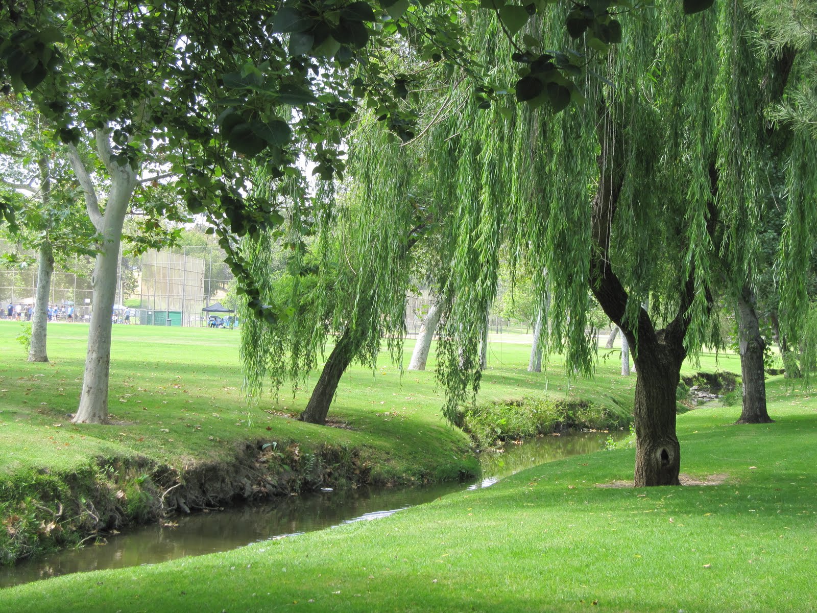 Searching for Fabulous Places in O.C. & L.A.: Craig Regional Park in ...