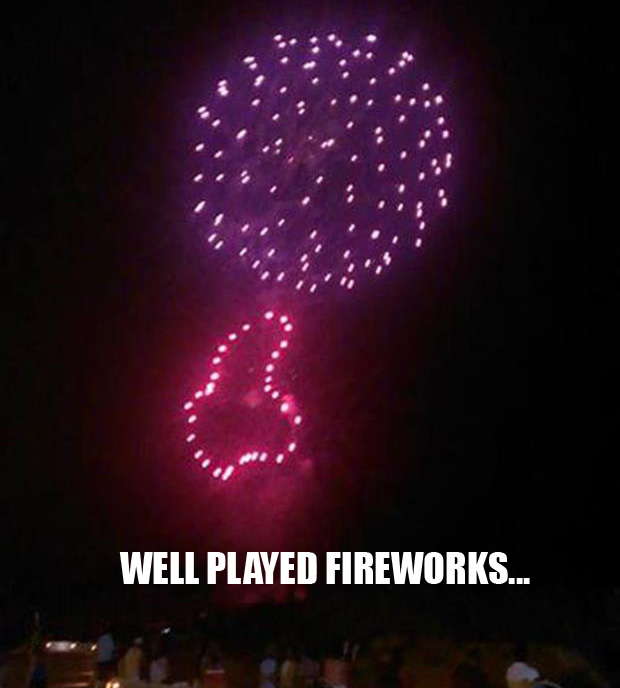 Too Much Crap Not Enough Shovels: The Best of "Well Played" (20+ pics)