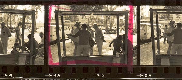 KauaiEclectic: Musings: "A Nation Rising"