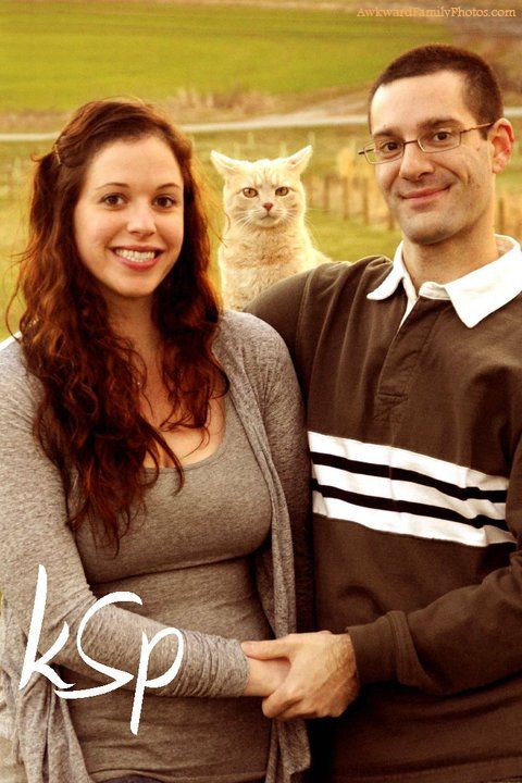 Awkward Family Cat Photos