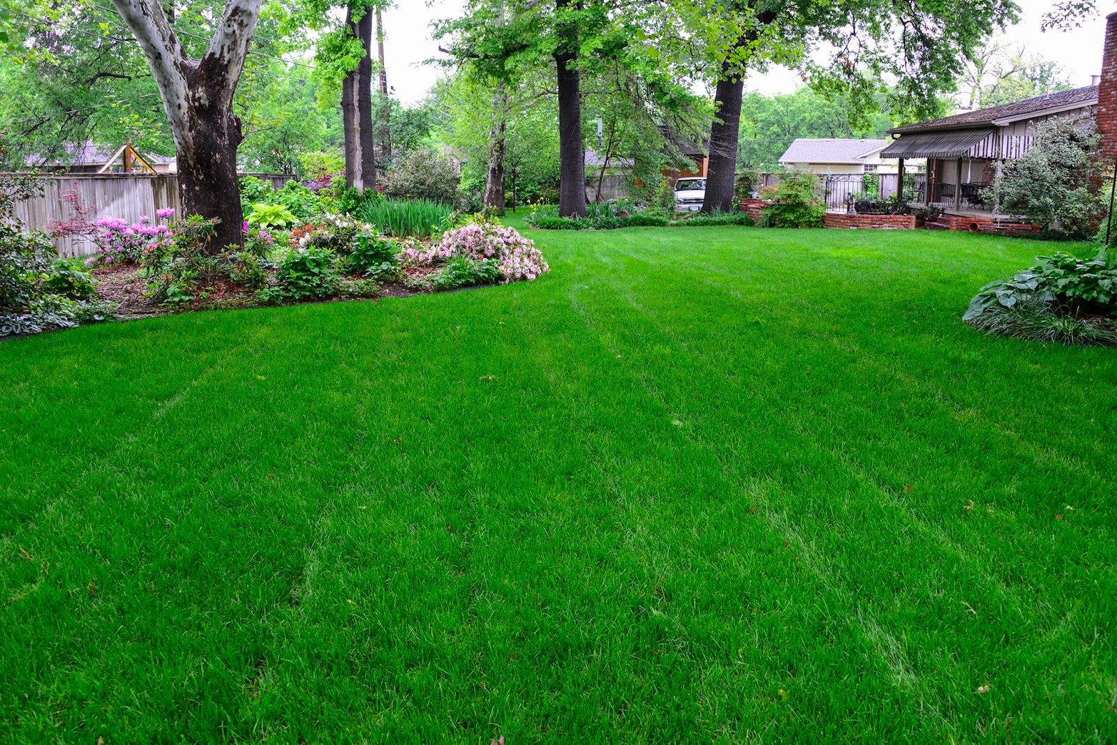 Ask A Master Gardener: Fall is the Best Time to Reseed Fescue