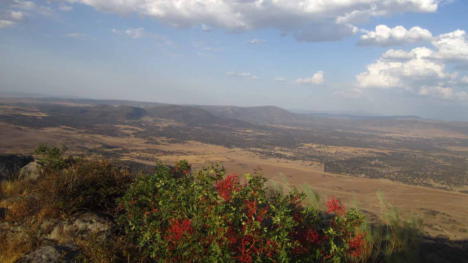 Diarios de una Mochila: Cerro San Gregorio - Santa Cruz de la Sierra ...