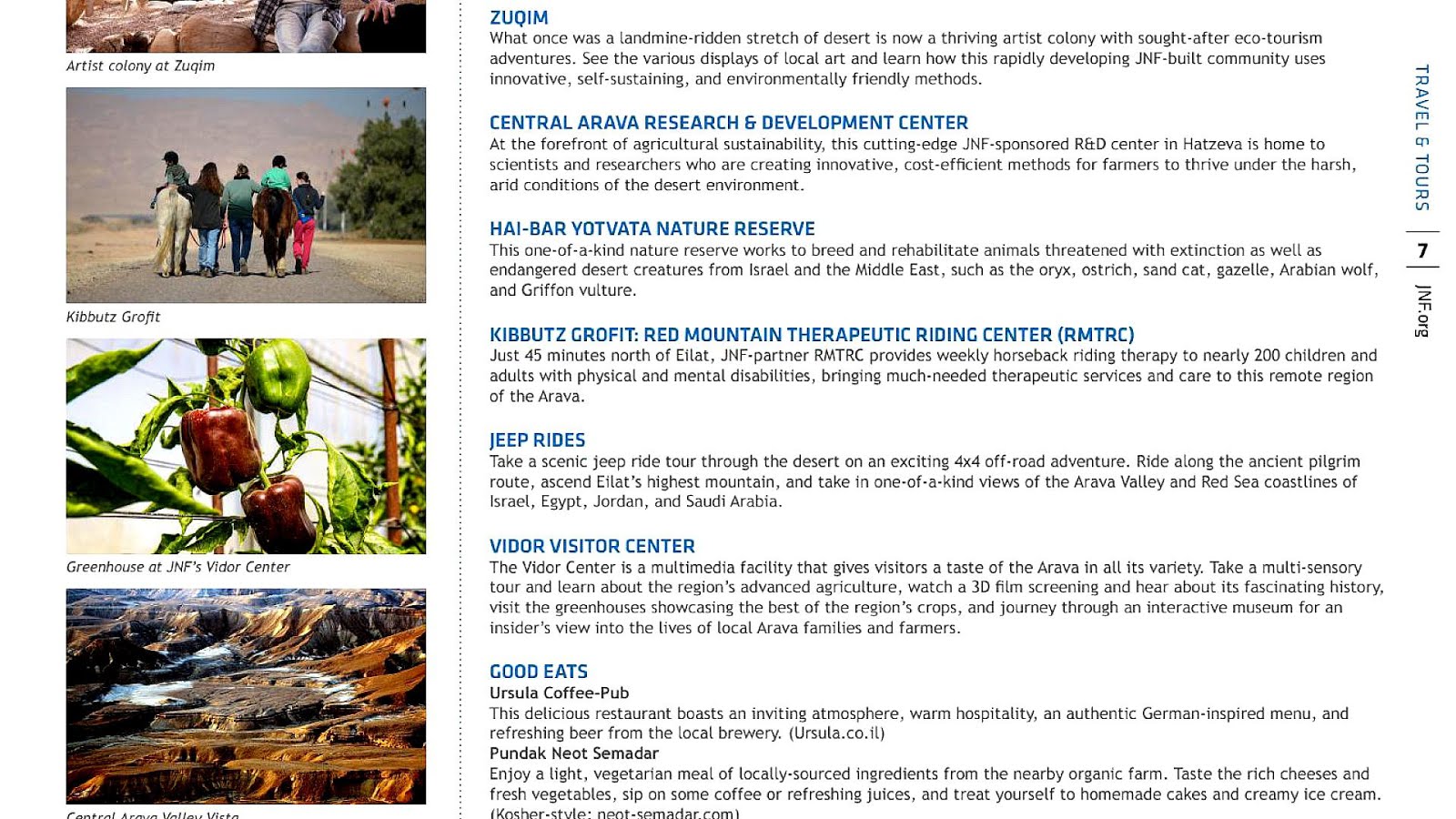 Reasons Why Animals Are Endangered Danger Choices reasons-why-animals-are-endangered-danger-choices