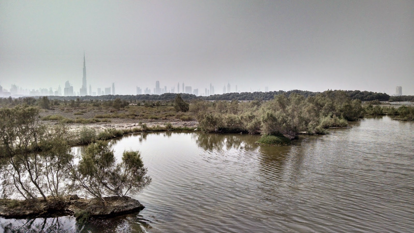 Freedom to Build: FTB 37 - Ras Al Khor, Dubai