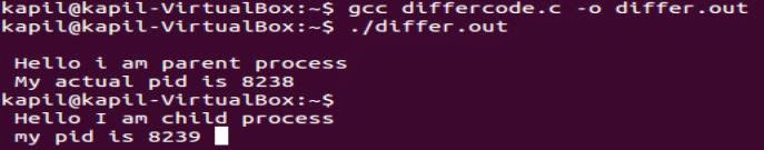 DU CS Lectures: A PROGRAM (using fork() and/or exec() commands) where parent and child execute: