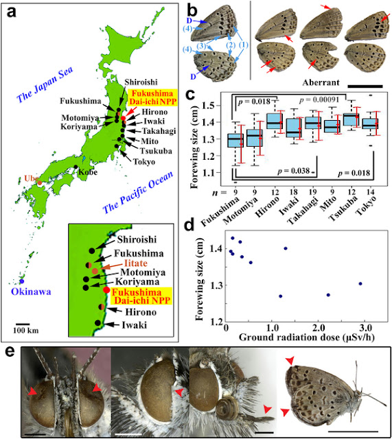 JAPON: Los efectos biológicos del accidente nuclear de Fukushima ...