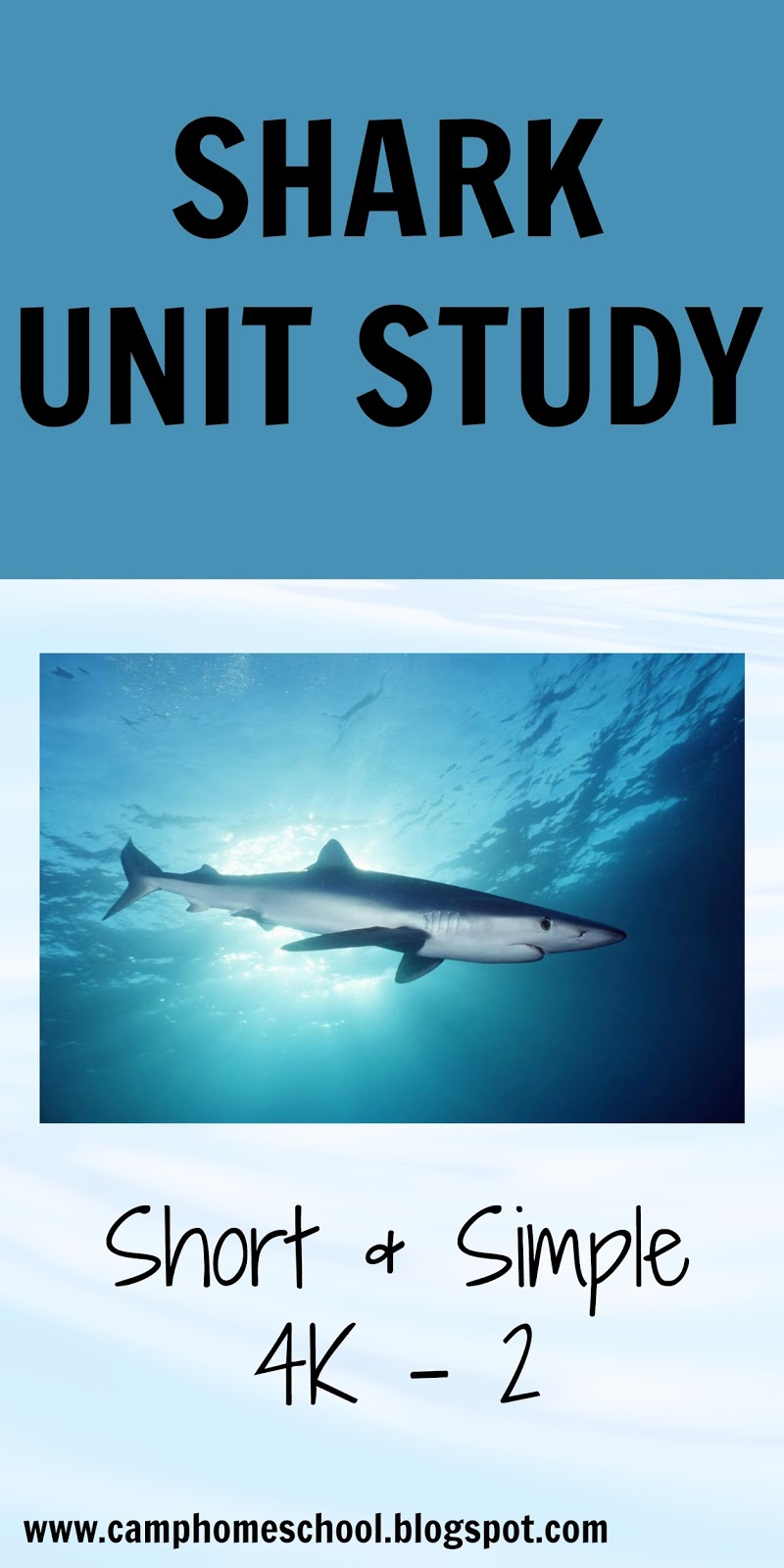 CAMP HOMESCHOOL: Learning About Sharks::A Unit Study