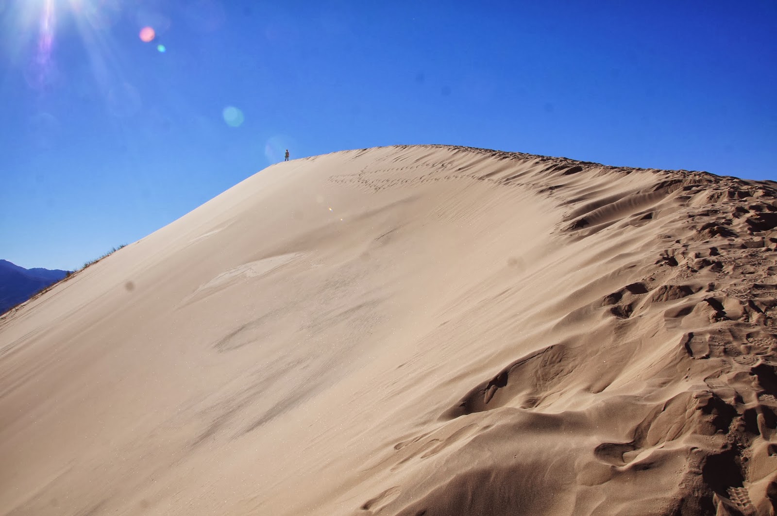 Mamma Quail Hiking California : Sledding in the Desert: the Kelso Dunes ...