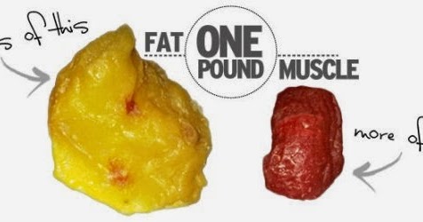 Under Construction With Bwarsh: Which weighs more? 1 pound of Fat or 1 ...