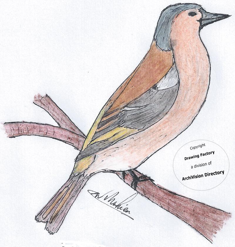 Drawing Factory your source for free drawings - designed by WM: Vink ...