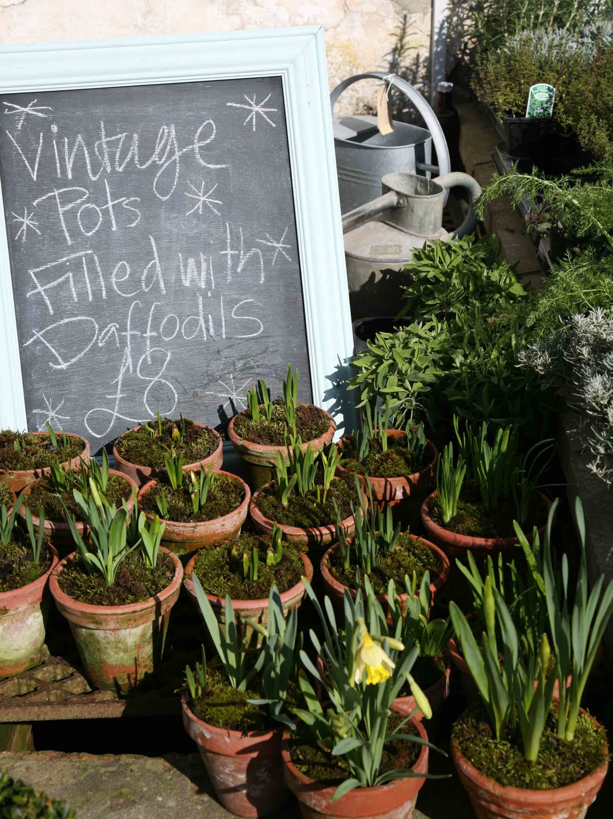 A Year in the Life of Pythouse Walled Garden