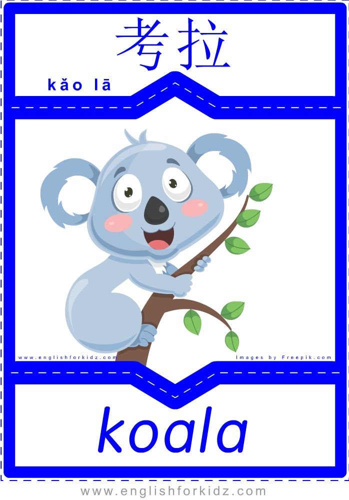English-Chinese Flashcards: Wild Animals. Part 3.