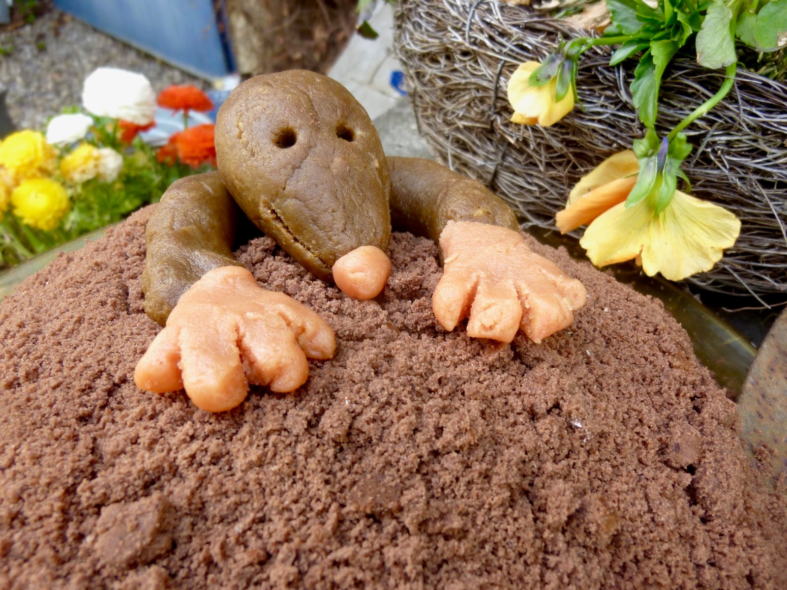 Chocolate Banana Whipped Cream Mole Cake – Diary of a Mad Hausfrau