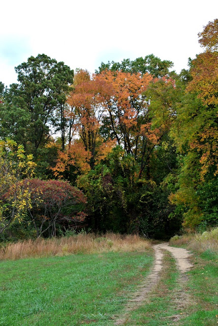 Southeastern PA Hiking: Thompson Trail