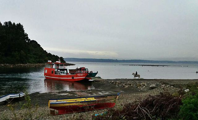 En 9 días más comienza a operar Barcaza a Isla Huar - PL Prensa