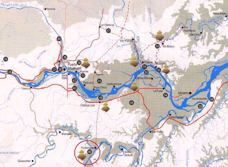 GUADUA ANGUSTIFOLIA (CASAS GUADUA): noviembre 2011