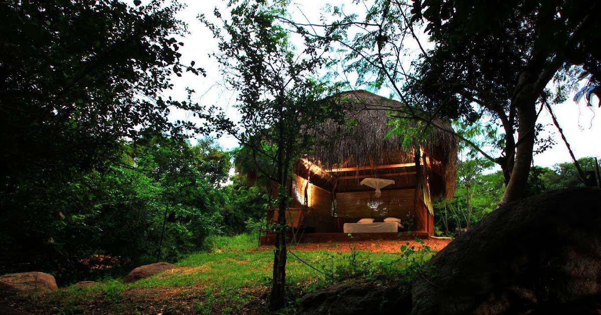 Dolphin Watching At Kalpitiya: Palpatha Eco Lodge - Wilpattu Accommodation