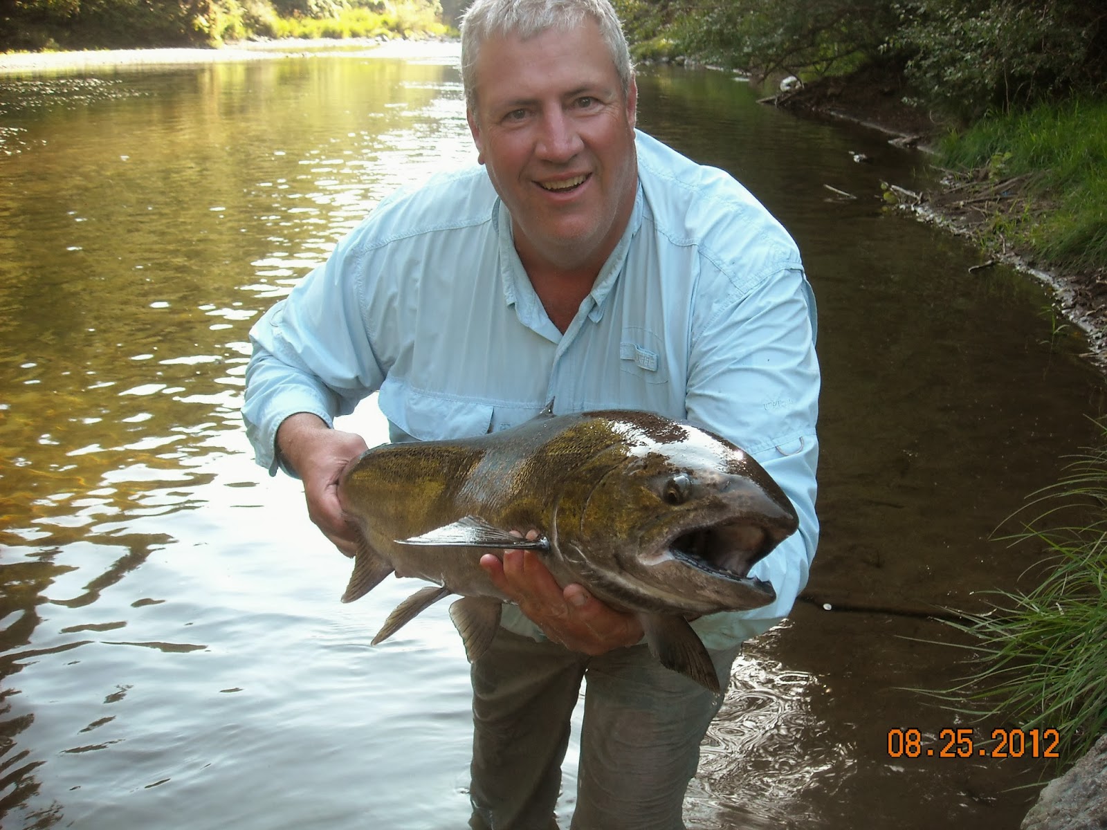 The Natural World: Fishing With Bears: An Interview With Larry Quilling