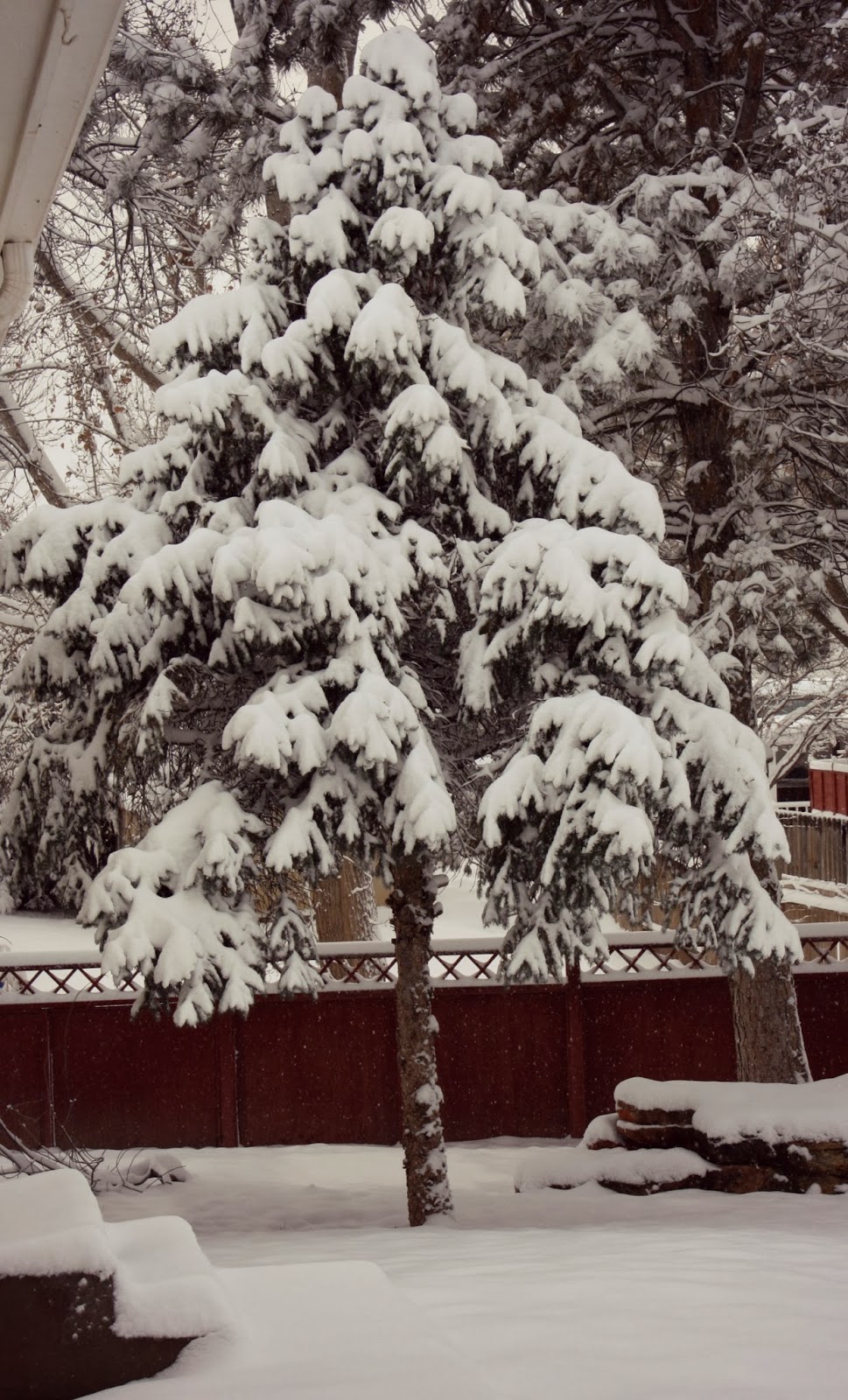 Snippets Of Creations: Snow Day Craft