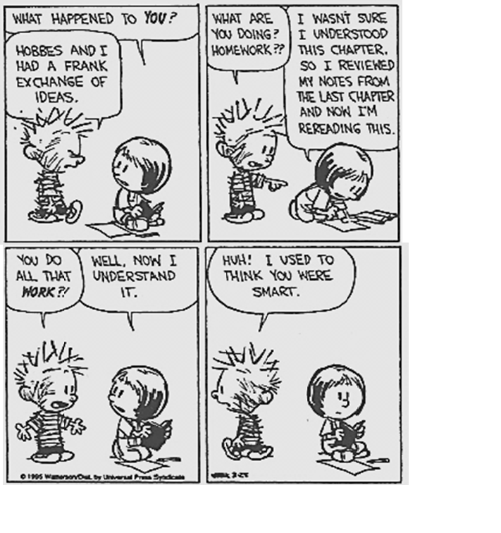 Zone Of Proximal Development Comic