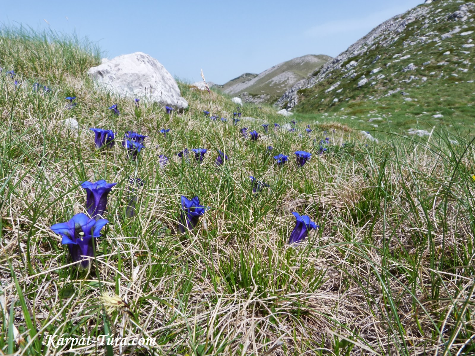Kárpát-Túra: Velebit - fotók