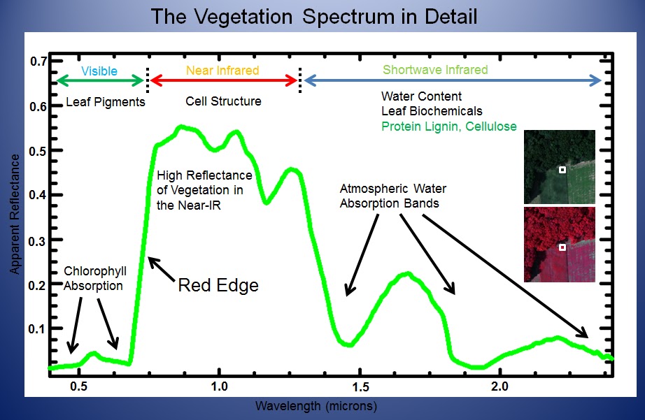 Exoplanetas Habitables: octubre 2016