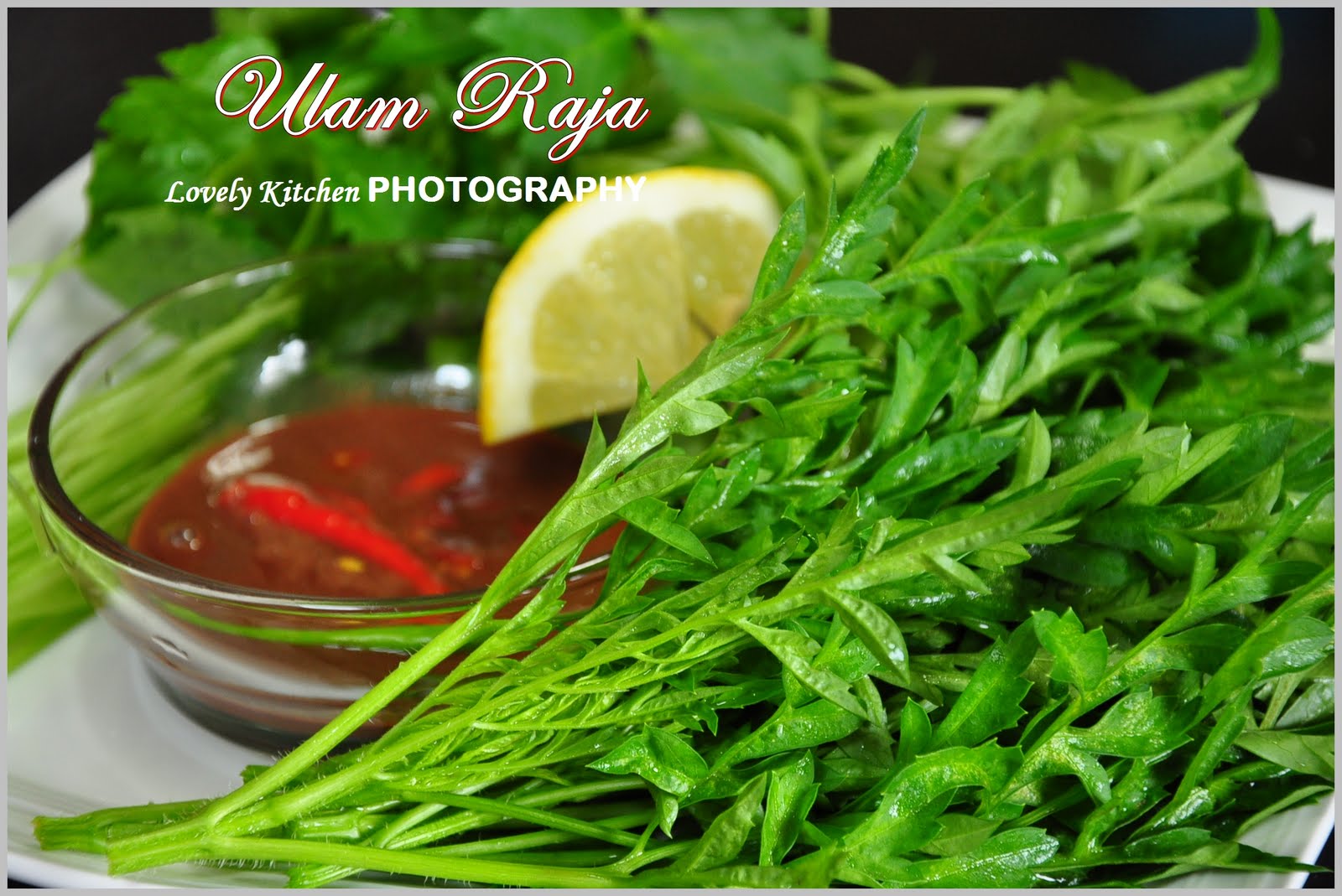 E-NA LOVELY KITCHEN ^_^: :-> Raya Ketiga, 'Open House Lagi ke?'