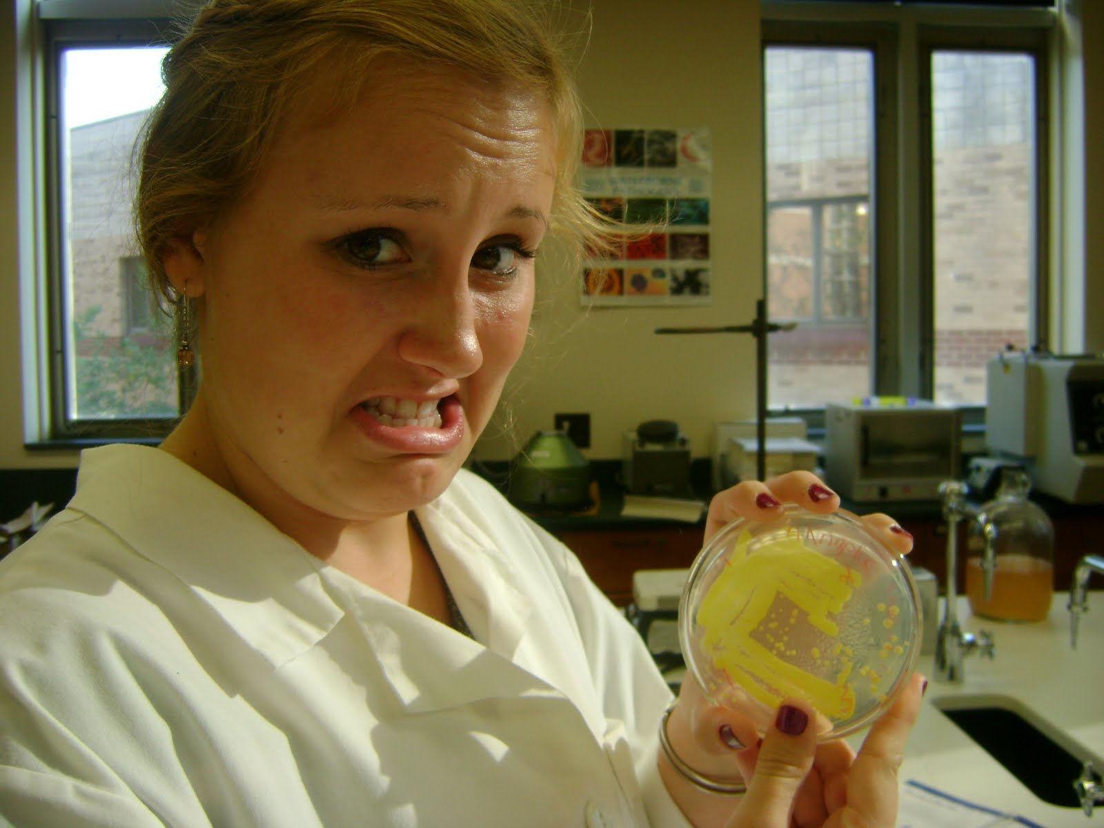 MedicALI Microbiology: Preparing and Staining a Bacterial Smear