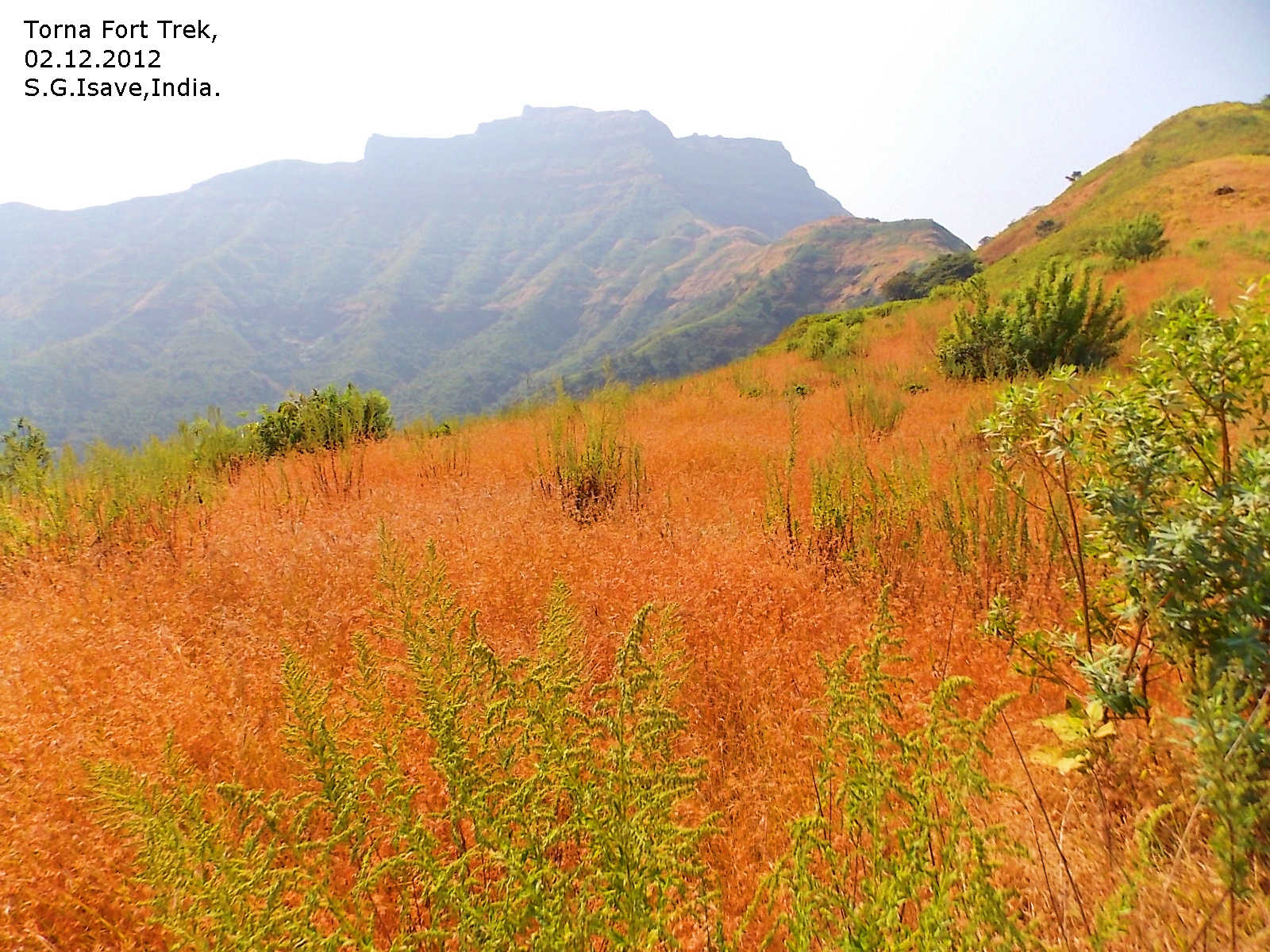 My Treks n Tours: Torna Fort ( Prachandgad) Trek