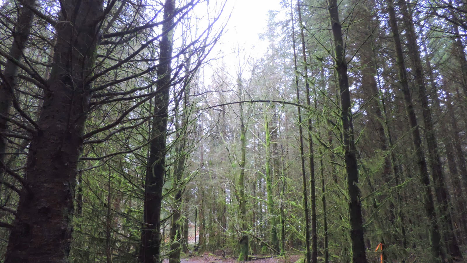The Glebe Blog: 02/2014