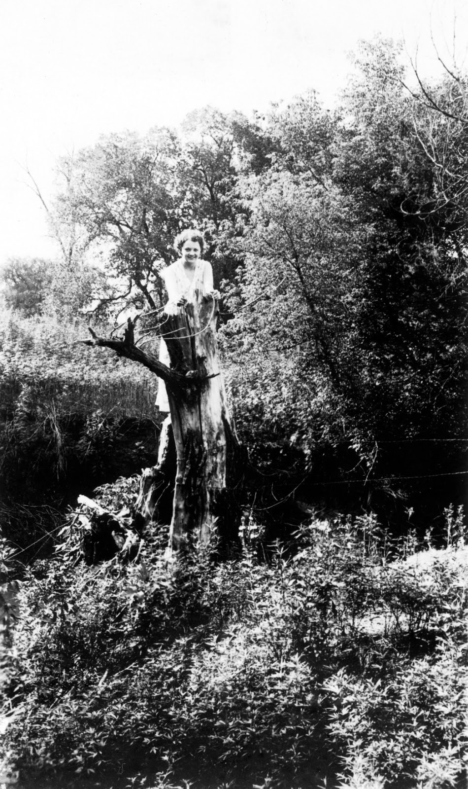 52 Vintage Snapshots Capture Young Women Jauntily Posing in Trees From ...