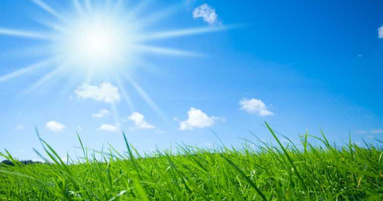 Life Is Wonderful: Finally We Have Sunshine Today