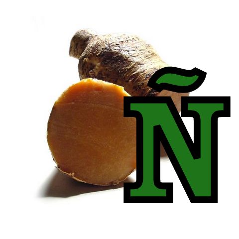 Cocina a la Carta: Diccionario Culinario. Letra Ñ