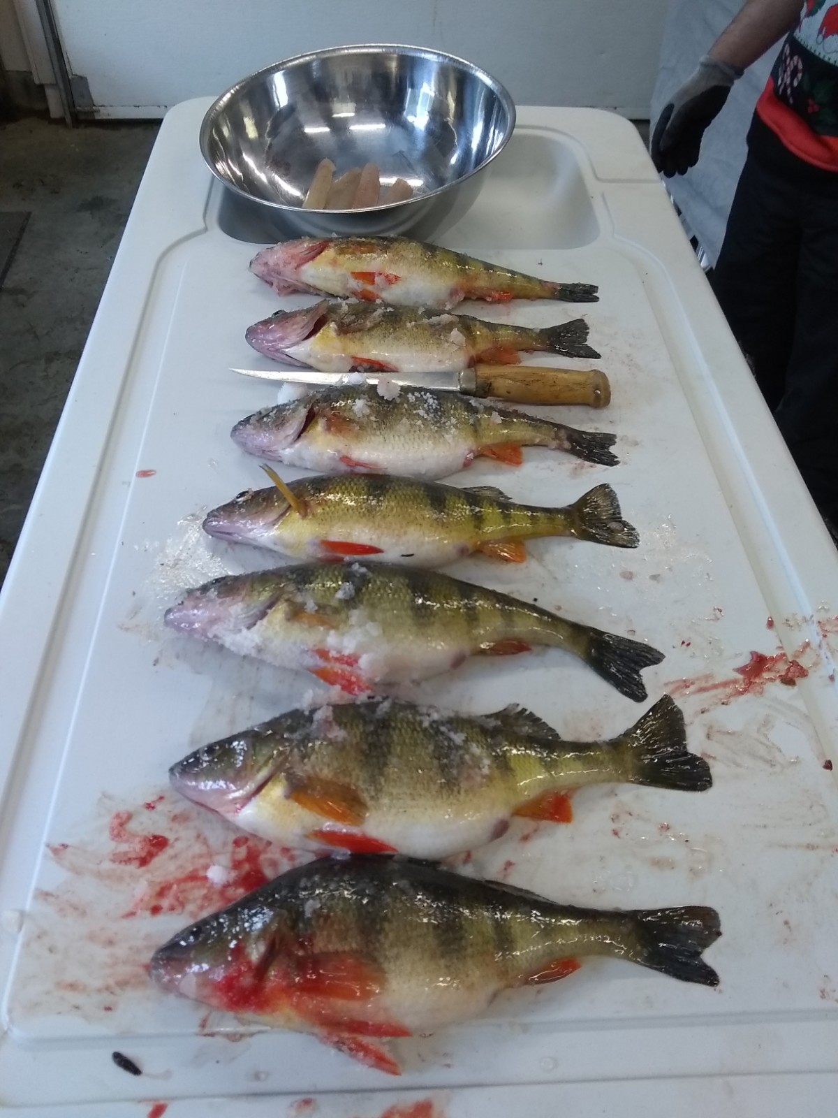 Perchaude à la bonne heure!