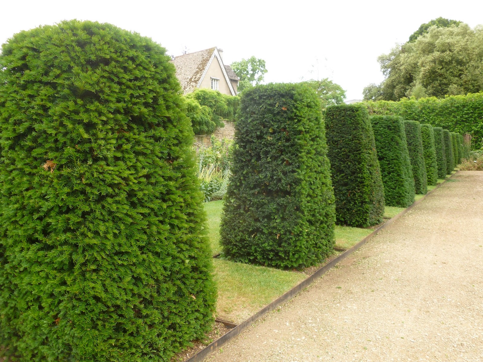 Worcester College Gardeners 2009-2018: Stuck On Yew