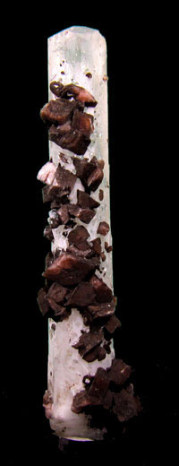 Les minéraux - Québec: Sur le terrain 12 - La densité